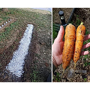 15 QT Professional Grade Horticultural Organic Perlite (15 QT, Perlite)