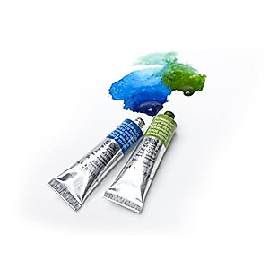 Windsor & Newton Artists Water 5ML Tube 12C Set (Japan Import)