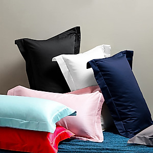 NTBAY Cotton Queen Pillow Shams - 500 Thread Count Egyptian Cotton 20x30 Sham Covers, 2 Pack Super Soft and Breathable 20x30 Inches Oxford Pillowcases, White