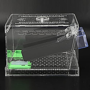 Cricket Keeper Tank Box, Cricket Care Kit Durable and Sturdy Equipped with Water/Food Feeding Tub for Office for Home(L)