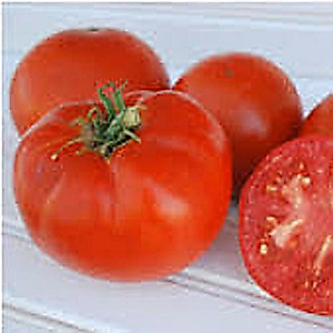 Super Sioux Tomato Seeds (20+ Seeds) | Non GMO | Vegetable Fruit Herb Flower Seeds for Planting | Home Garden Greenhouse Pack