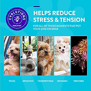 Evolutions by NaturVet Advanced Calming Support 90ct Soft Chews for Dogs - Ashwagandha, Chamomile, Ginger, Thiamine, Magnesium, Melatonin - Helps Promote Rest, Tranquility, Calming Effect on Nerves