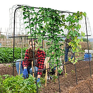 Garden Cucumber Trellis for Climbing Plants Outdoor, 57.9in Metal Plant Support Trellis for Climbing Vine Vegetable/Fruit/Flower Outdoor Yard Lawn Garden A Frame Trellis