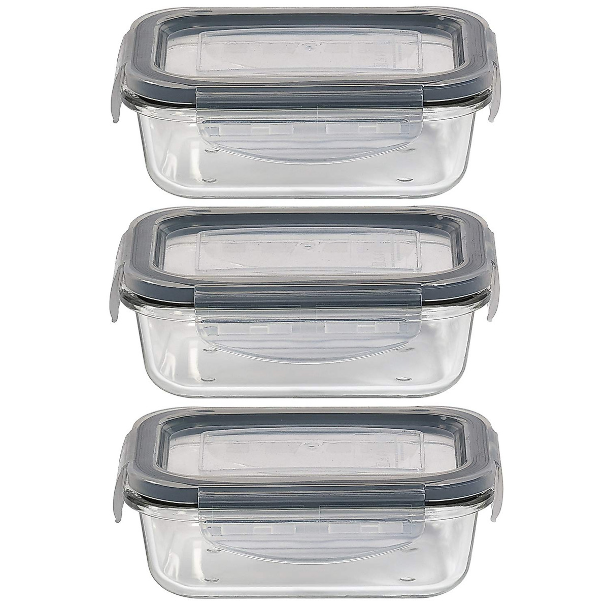 Mason Craft & More Leak Proof Glass BPA Free Plastic Locking Lid Food Storage container, 24 OUNCE SET, Clear