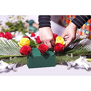 FLOFARE Pack of 6 Floral Foam Blocks for Fresh and Artificial Flowers, Styrofoam Block (9” L x 4” W x 3” H), Dry and Wet Floral Foam Blocks for Wedding, Birthdays, Home, Office, and Garden Decorations