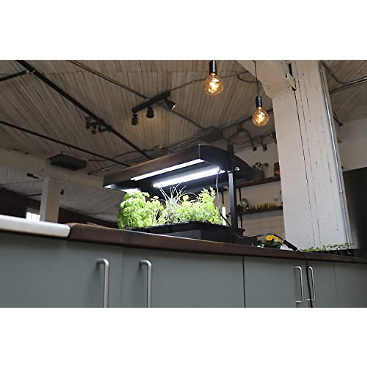 SunBlaster LED Indoor Growlight Garden, Home Growing Kit