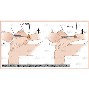 DDP Taylor Percussion Hammer, HOT Pink