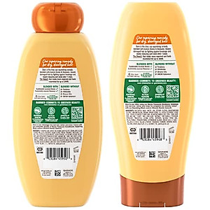 Garnier Whole Blends Honey Treasures Repairing Shampoo and Conditioner, For Dry, Damaged Hair, 22 Fl Oz Ea, 1 Kit (Packaging May Vary)