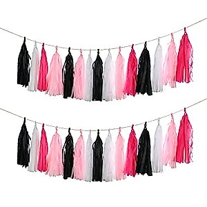 Meetppy GUZON 20PCS Hot Pink Black White Tassel Garland Party Decoration, Wedding Bachelorette Birthday Anniversary Party Decorations Backdrop Décor