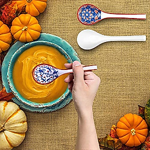 Asian Ceramic Soup Spoons Japanese - Soup Spoons with Long Curved Handle for Ramen Noodles,Dumpling,Rice(4 Pcs)