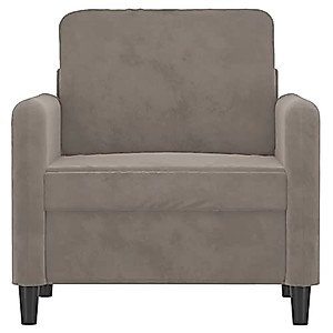 ULUYYUC Sofa Chair,Living Room Furniture Indoor Sofa Lounge Sofa Pull Out Couch with Armrests Suitable for Living Room Apartment Home Office Light Gray 23.6" Velvet