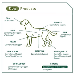 Standard Process Canine Immune System Support - Immune Support Supplement for Dogs - Powder Canine Supplement Aids Overall Health & Wellness - Immunity Support Supplement with Zinc & Kelp - 30 g