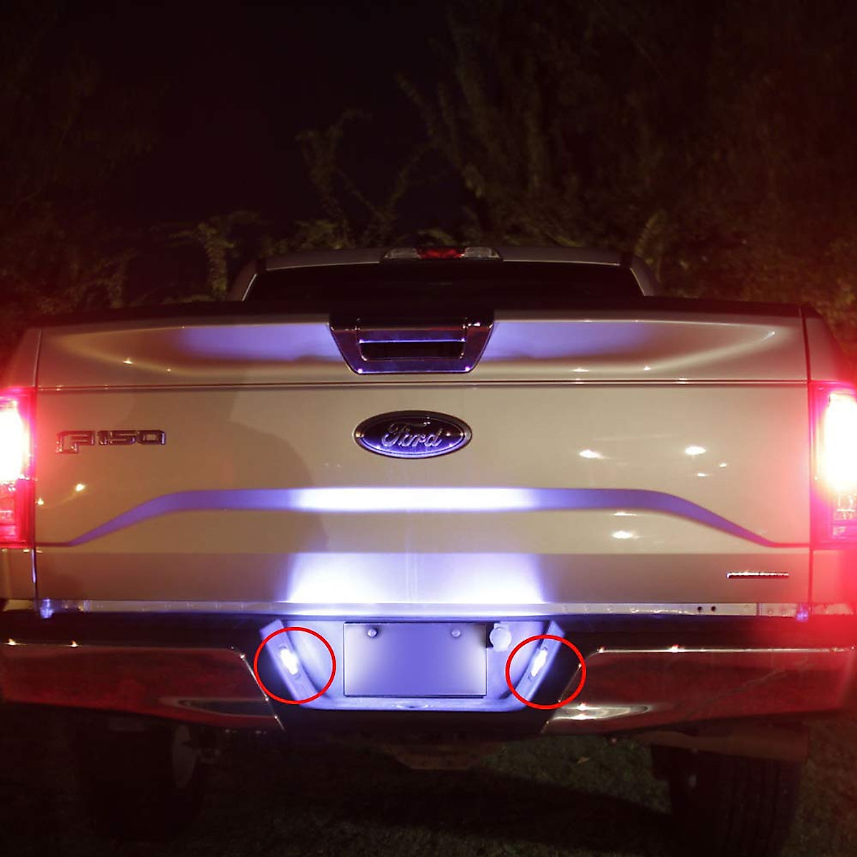 Xinctai 2PCS LED License Plate Light Lamp for 2015 2016 2017 2018 2019 2020 2021 Ford F150, 2017- up Ford Raptor Trucks, Clear Lens, Super White 6000K LED Lights