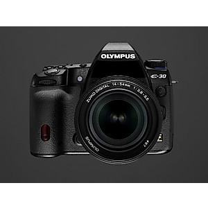 Olympus E30 12.3MP Digital SLR with Image Stabilization (Body Only)