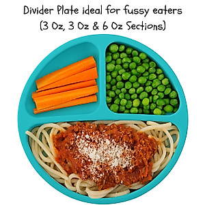 EVLA'S Baby Food Maker, Food Processor, Blender, Grinder, Steamer for Healthy, Homemade Food with 6 Reusable Pouches and Baby Feeding Set, Dark Gray & Turquoise