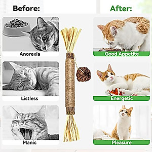 Aucenix Silvervine Sticks for Cats Lick - Silvervine Blend Sticks for Kittens Chewing,Natural Silvervine Cat Chew Sticks for Teeth Cleaning and Stress Release