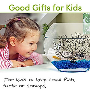 hygger Mini Glass Oblate Fish Bowl Kit, Small Fish Tank Comes with Blue Aquarium Decor Stones and Plastic Fan Branch Tree Ornament