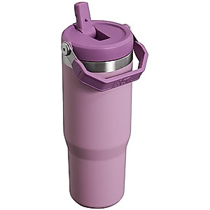 Stanley IceFlow Flip Straw Tumbler with Handle 30 oz | Twist On Lid and Flip Up Straw | Leak Resistant Water Bottle | Insulated Stainless Steel |BPA-Free | Lilac