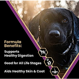 Victor Super Premium Dog Food – Professional Dry Dog Food – Super Premium Dog Food with 26% Protein, Gluten Free - for High Energy and Active Dogs & Puppies, 40lbs
