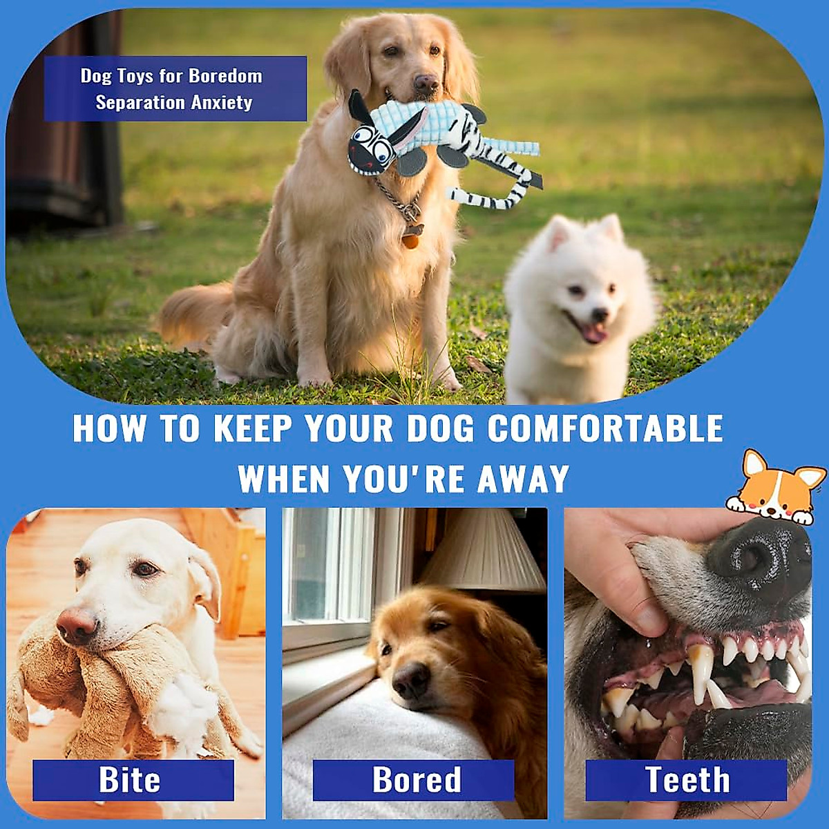 MenPetsonline Blue Dog Toys - Squeaky Dog Toys,Interactive Chew Toys for Small,Medium and Large Dogs,Ugly Dog Toys to Keep Them Busy