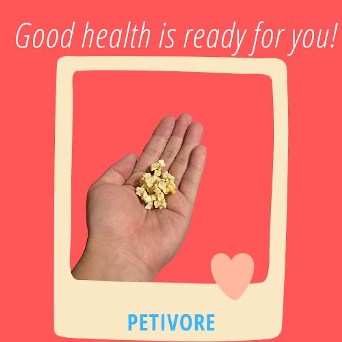 PETIVORE Premium Dried Apple for Sugar Glider and Small Exotic Pet - Made with Real Fruit - Sugar Glider, Hamster, Marmoset and All Type of Rodents Treats, Snacks and Food (20g)