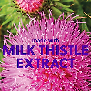 Tree Hut Exfoliating Shea Sugar Scrub Birthday Cake, 18 oz