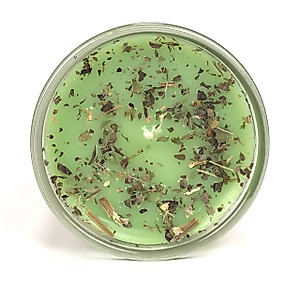 Prosperity Green Spell Candle | Cinnamon Infused, Topped with Money Herbs | Lemurian Moon Soy Candle for Spells & Rituals