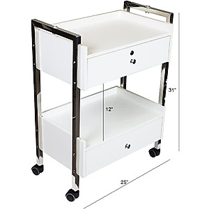 Supreme Medical Dental Mobile Utility Cabinet with Steel Frame and Two Drawer With One lockable Drawer cart