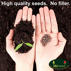 Sunflower Wildflower Seeds Mix - 1oz, Open-Pollinated Wildflower Seed Mix Packets, Non-GMO, No Fillers, Annual Sunflower Seeds, Summer Planting - 1 oz