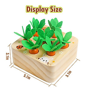 Wooden Toys for 1 2 3 Year Old Baby Boys and Girls, Montessori Toy Carrot Harvest Game Shape & Sorting Matching Puzzle, Educational Developmental Birthday Gifts for Babies Toddlers Kids 12 Months