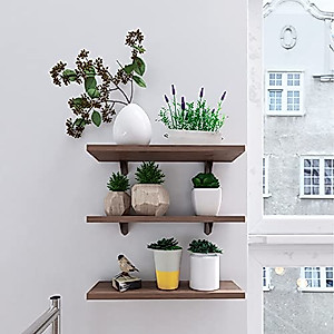 PLAYCON Easy Wall Mounted Floating Shelves Set of 3, for Office/Bedroom/Living Room/Media Room/Kitchen/Bathroom/Laundry Room/Storage, Innovative Textured PVC Finishing Walnut Wood Veneer Looking