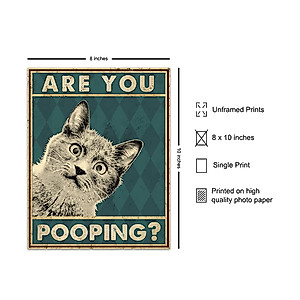 Funny Cat Bathroom Decor - Bathroom Wall Decor - Guest Bathroom Wall Art Pictures for Women, Men, Kids - Modern Bath Accessories - Cute Restroom Sign - Powder Room Decorations - Butt Napkins Poster