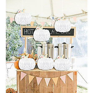 Fall Honeycomb Pumpkin Centerpiece for Table,Little Pumpkin Baby Shower Decorations for Girl Boy,10 Inch Paper Hanging Pumpkin Decorations for Thanksgiving Halloween,W A Little Pumpkin is On Her Way