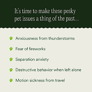 pawTree Chillax - Natural Calming Hemp Chews. Veterinarian-Developed Formula Helps Relieve Stress and Tension, Separation Anxiety and Soothe Fear from Storms - Large Soft Chews for Dogs (60 Count)