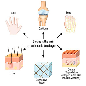 Glycine Powder (2 lbs) - Promotes Restful Sleep, Muscle Energy and Strength, Memory and Cognition Support (Resealable Bag)