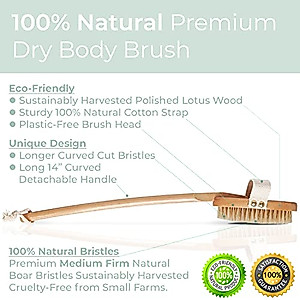 Zen Me Premium Boar Bristle Brush, Exfoliating Brush with Medium Firm Natural Bristles for Cellulite and Lymphatic, Body Scrub Brush with Detox eBook Gift