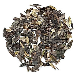 The Old Farmer's Almanac Zinnia Seeds (Dahlia Mix) - Approx 200 Flower Seeds - Premium Non-GMO, Open Pollinated, USA Origin