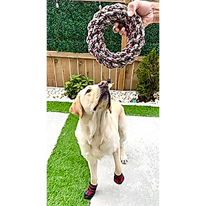 Monmoto Colorful Christmas Rope Toy for Dogs, Cotton Rope Toy, Tug Toy, Dental Chew Rope, Interactive Toy, Multi Braided Ring Rope Toy for Medium, Large, X-Large Dogs (Ring Toy)