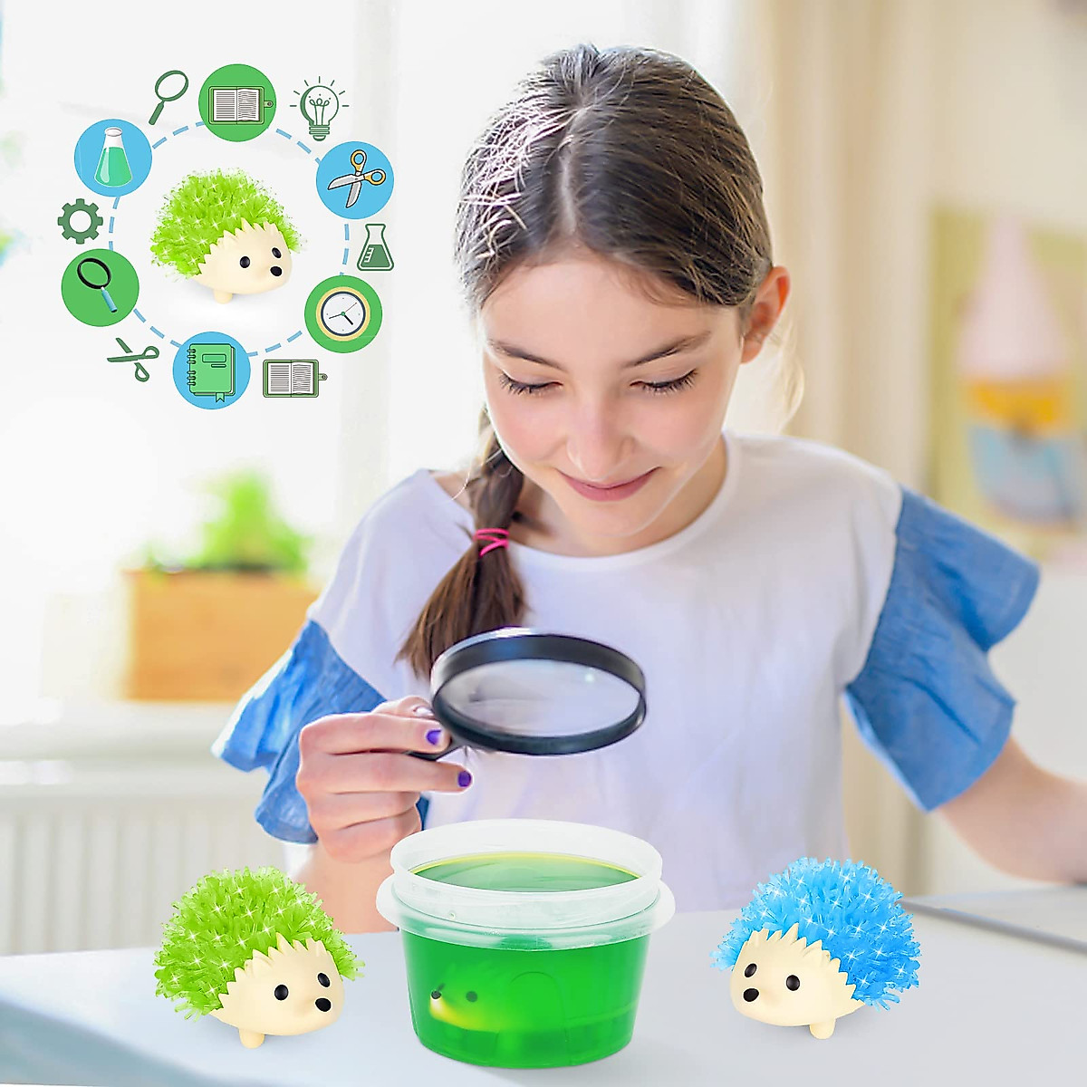 sdaymol Crystal Growing Kit for Kids - 2 Colors Hedgehog to Grow Fast in (24H),Science Experiments Learning & Educational Toys,Science Kits for Kids Age 8-12 STEM Project Gifts for Boys & Girls 6+