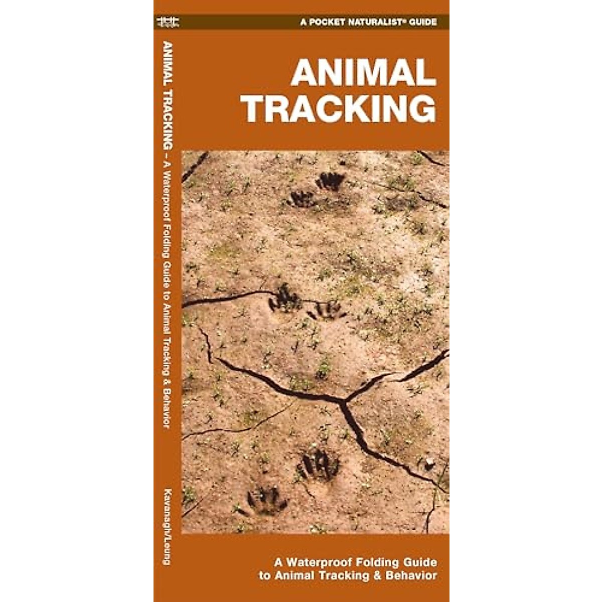 Animal Tracking: A Folding Guide to Animal Tracking & Behavior (Outdoor Recreation and Survival)
