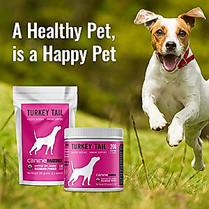 Mushroom Matrix Canine Organic Mushroom Powder Turkey Tail Immune Support and Holistic Defense Supplement for Dogs, 200 Grams (Packaging May Vary)