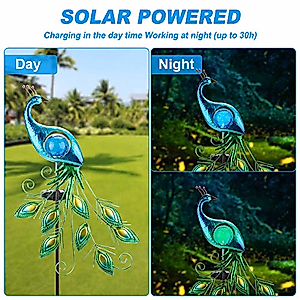 CHINLY Garden Solar Lights Stake, Metal Peacock Decor Solar Garden Lights Solar Peacock Stake for Outdoor Patio Yard Decorations (Blue Lampshade)