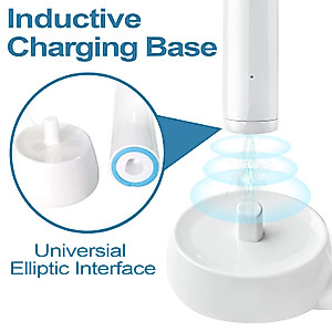Replacement Electric Toothbrush Charger Fit for Oral B, Inductive Charger Base Compatible with Braun Electric Toothbrush, Portable Environmental ABS Fit for Oral B Electric Toothbrush