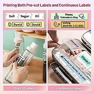 Phomemo Label Maker Machine, D30 Portable Bluetooth Label Printer with Tape Label Maker Handheld, Multiple Templates Available for Smartphone Easy to Use for Office Home Organization USB Rechargeable