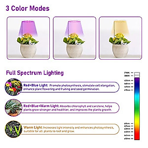 Tsothea Plant Grow Light, Full Spectrum LED Grow Lights for Indoor Plants, 3 Colors Plant Halo Light, Height Adjustable Small Grow Light with Auto On/Off Timer, 10 Dimmable Levels Growing Lamps