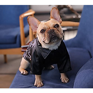 Moorfowl Cool Bulldog Motorcycle Jacket Dog PU Leather Coat for Pug Pet Doggie Clothes Fashion Outfit Cute Dog Biker Jacket for Pitbull Boston Terrier (Large, Black)