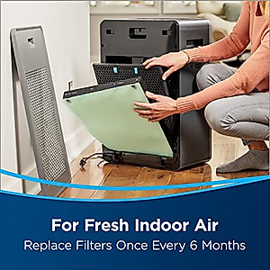 Bissell Air Purifier HEPA Activated Carbon Pack, 3365 air400 Replacement Filter, Black/White