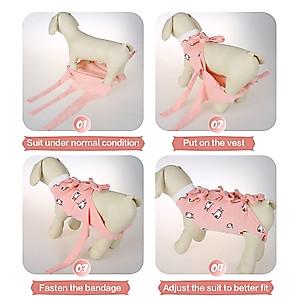 PUMYPOREITY Cat Recovery Suit After Surgery, Cat Onesie for Cats After Surgery, Cat Surgical Recovery Suit Female, Kitten Recovery Suit for Neutered/Abdominal Wound/Skin Damage/Weaning, S, Pink