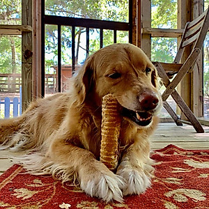 SUPER CAN BULLYSTICKS Beef Trachea Dog Chews 6'' (10 Count) | 100% Natural Farm Raised Beef Dental Treats | Non-GMO Chews for Puppies and Adult Dogs