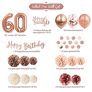 60th Birthday Party Decorations Rose Gold Decor Party Supplies Tissue Pom Poms Paper Circle Dots Garlands, Hanging Party Supply Set for 60th Anniversary Decorations Birthday Party Backdrop